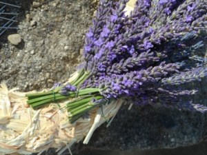Lavender Wands & my first Lavender Wreath. | Mom in the Garden