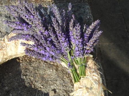Lavender Wands & my first Lavender Wreath. | Mom in the Garden