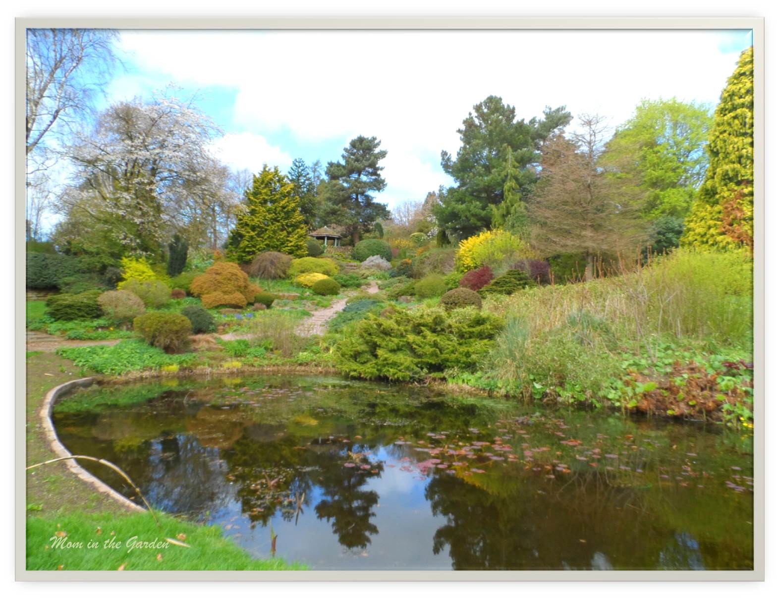 Dorothy Clive Pond | Mom in the Garden