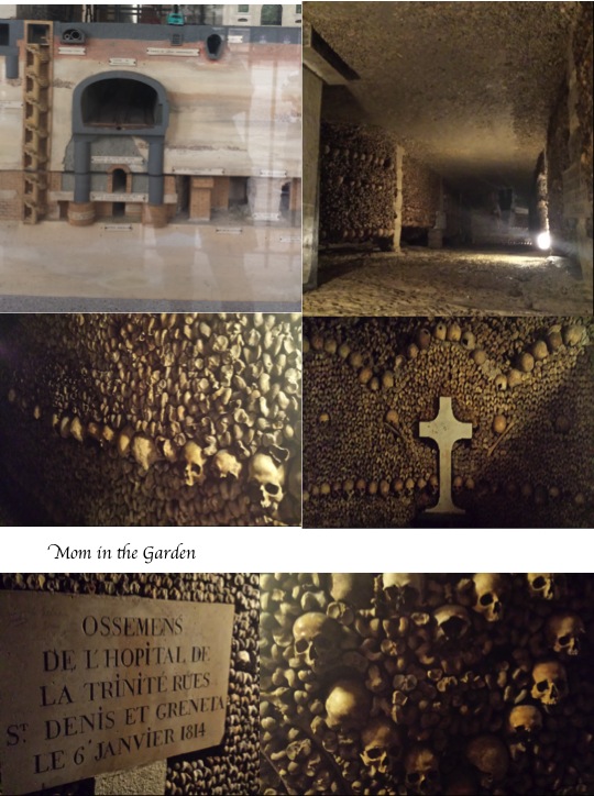 Catacombs | Mom in the Garden