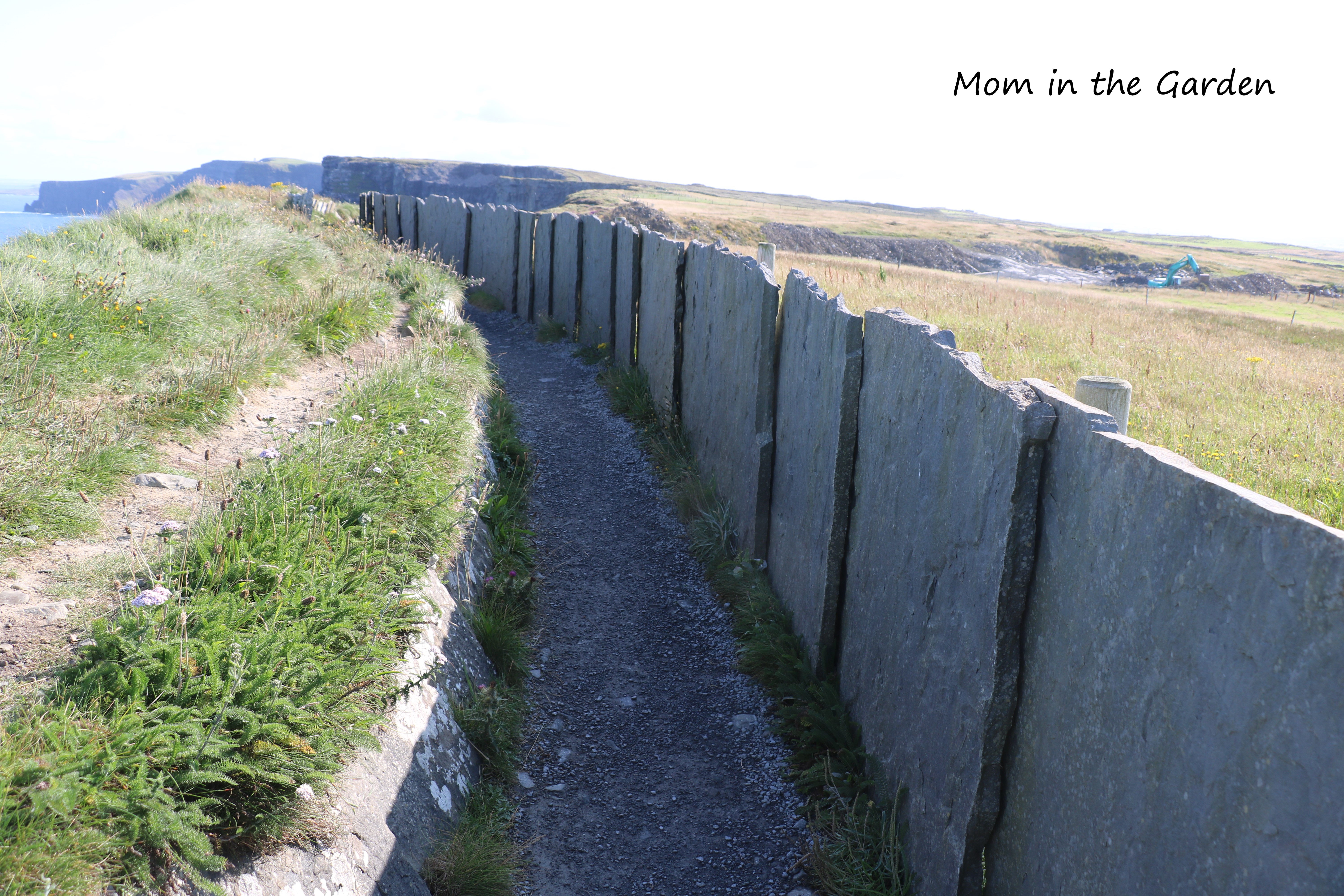 A walk along the majestic Cliffs of Moher | Mom in the Garden