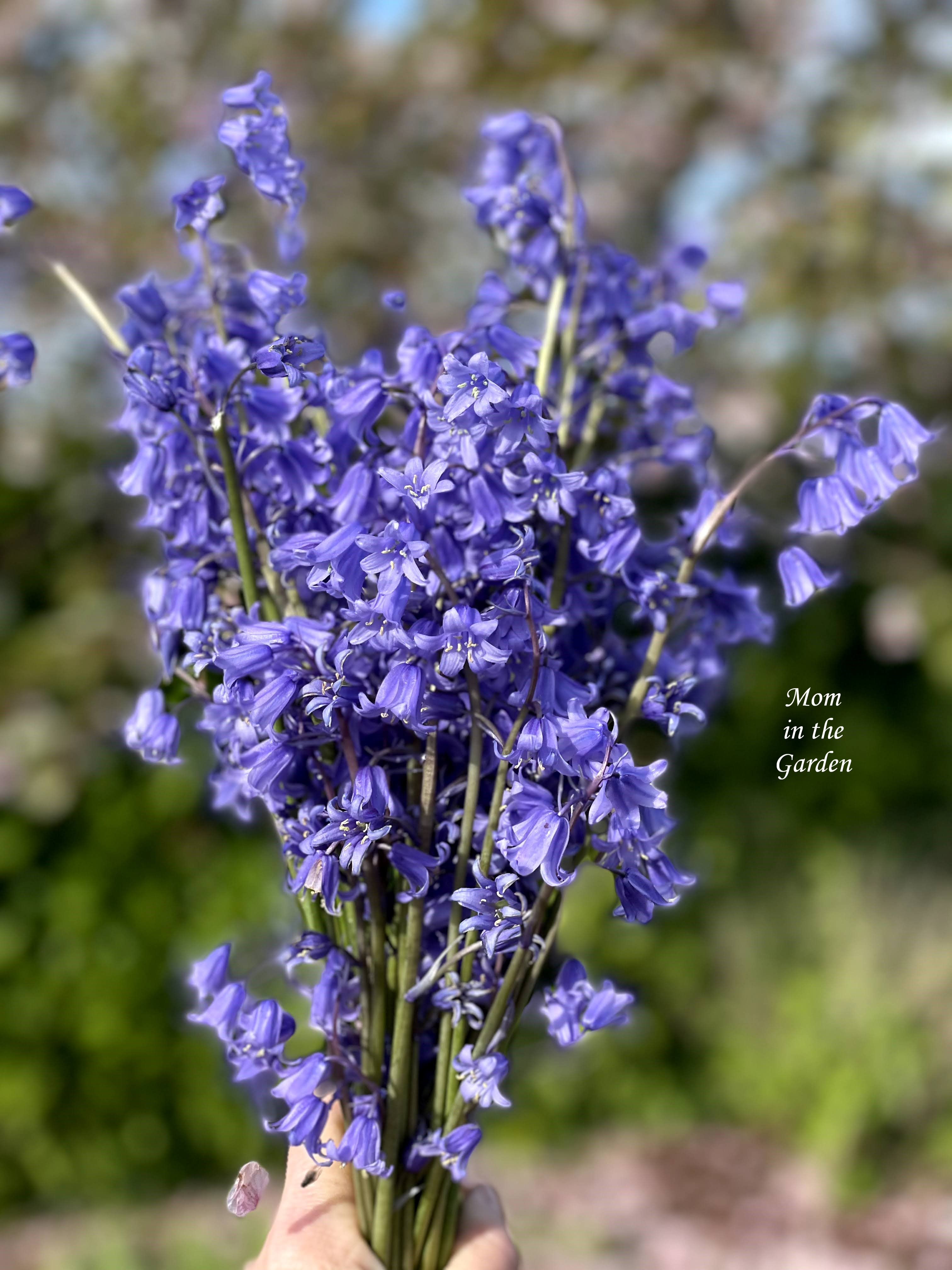 A peony, bluebell and hawthorn floral arrangement | Mom in the Garden