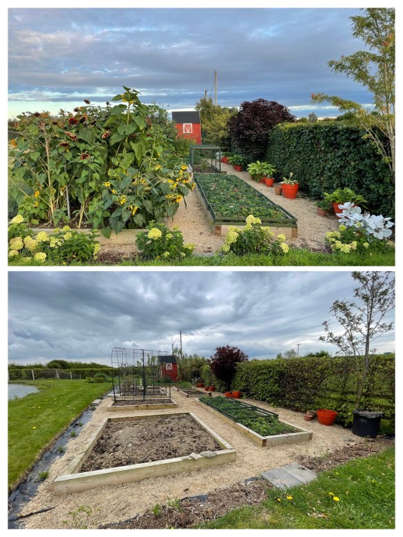 A garden transformation with a ‘before’ and ‘after’ | Mom in the Garden